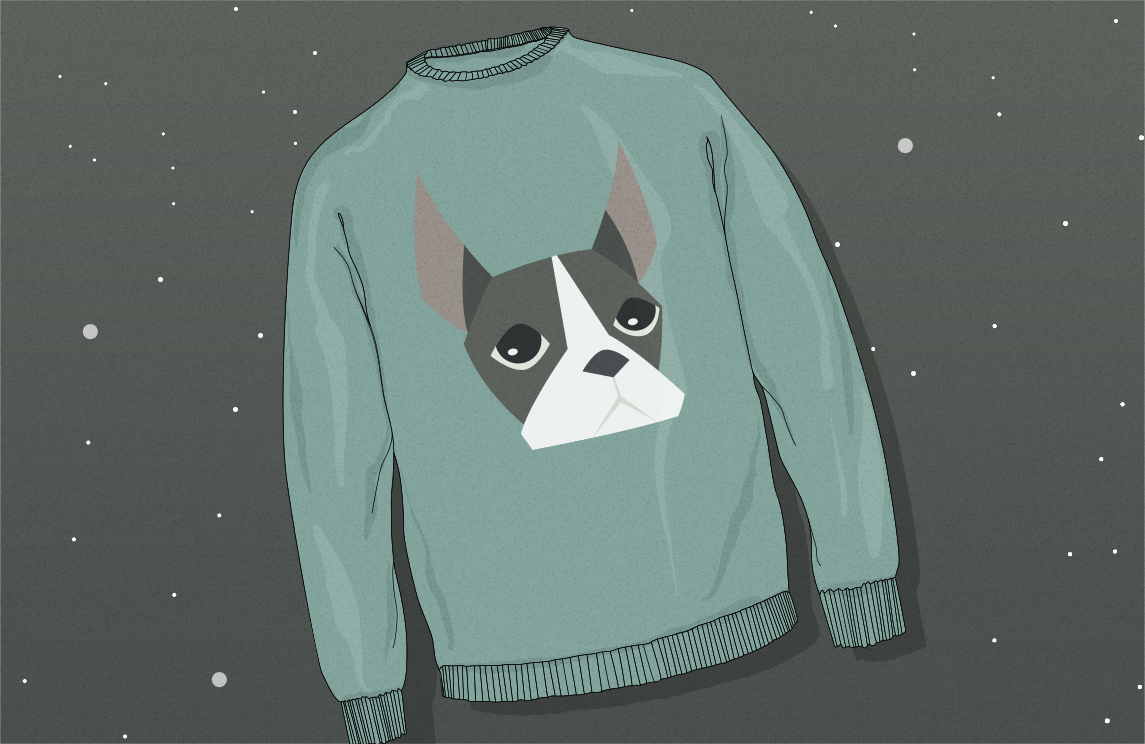 Google: "Sweater with my dog's face on it" | Terrostar Interactive Media